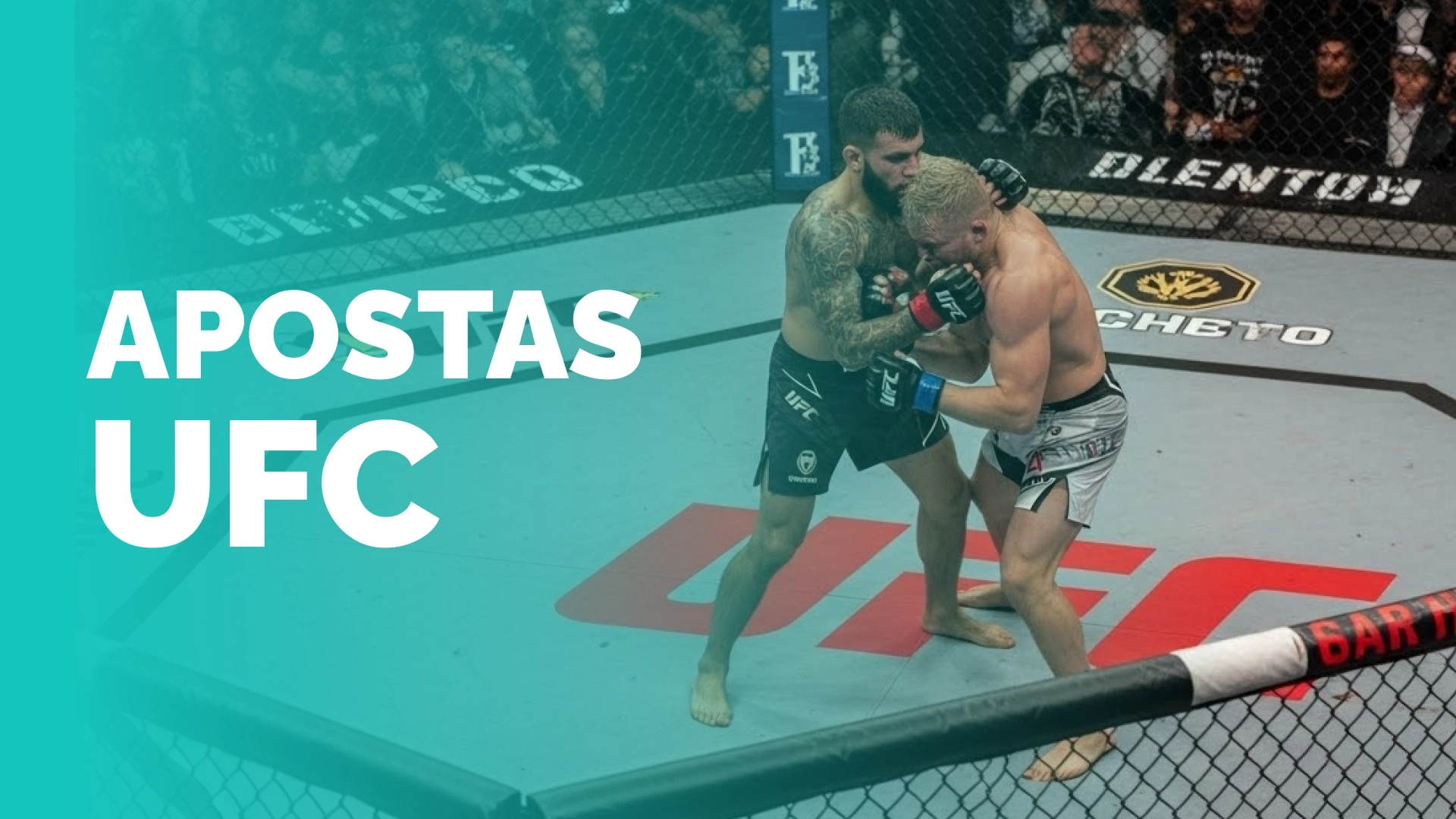 Melhores Plataformas Pagando no Brasil: 16 Bets Confiáveis (2025)